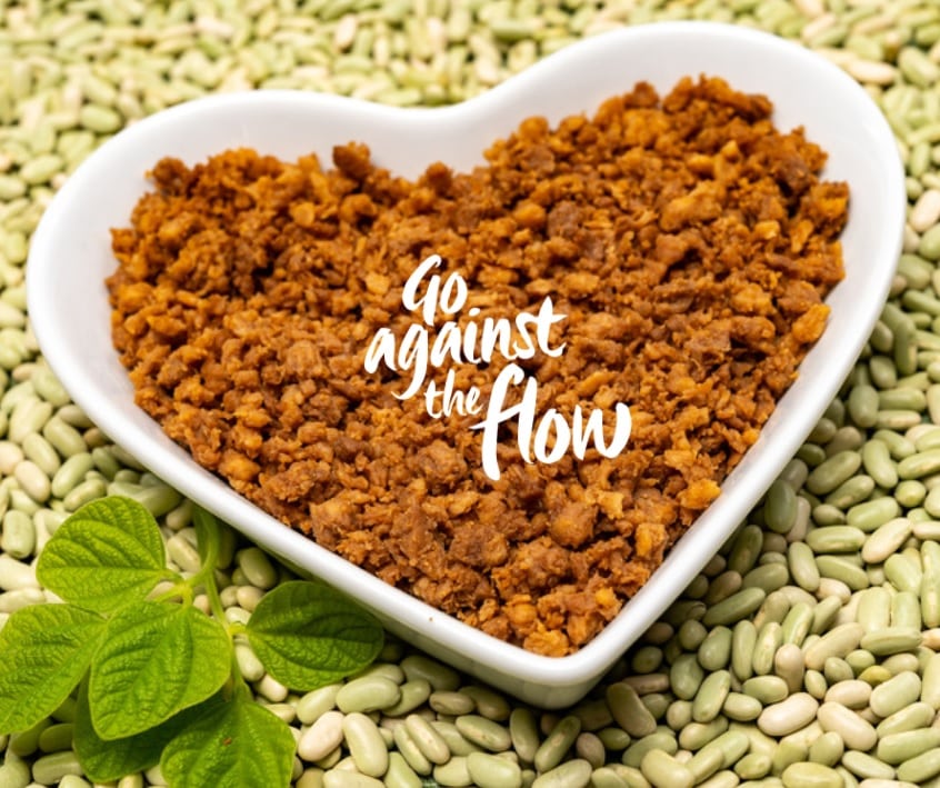 Plant Based Vegan Mince Recipe Go Against The Flow